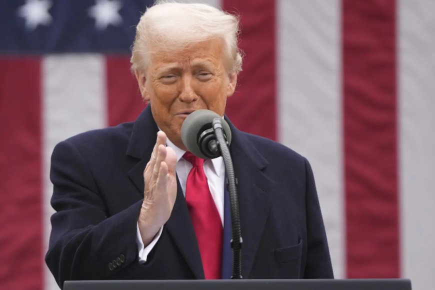 'Extremely dangerous': Harvard professor raises red flag on Trump's ...